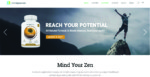 Mind Your Zen - Brain Nutrition Supplements - CSS Nectar Web Design ...
