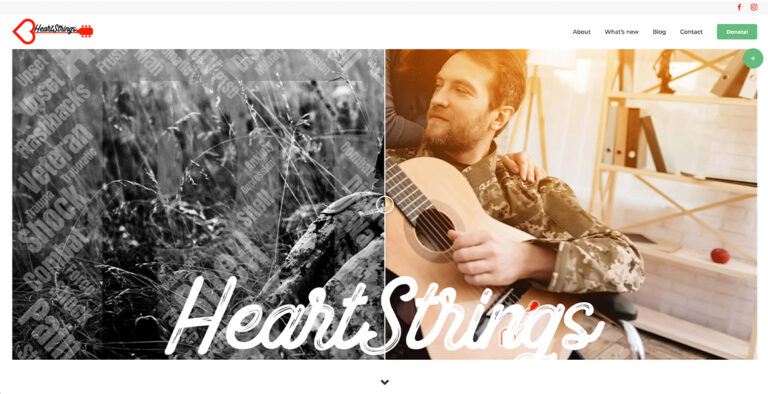 HeartStrings Foundation - CSS Nectar Web Design Awards CSS Gallery