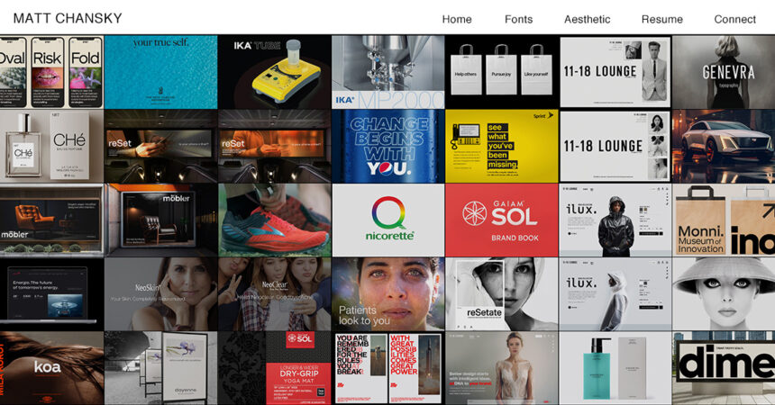 Switch Skate Guide - CSS Nectar CSS Gallery
